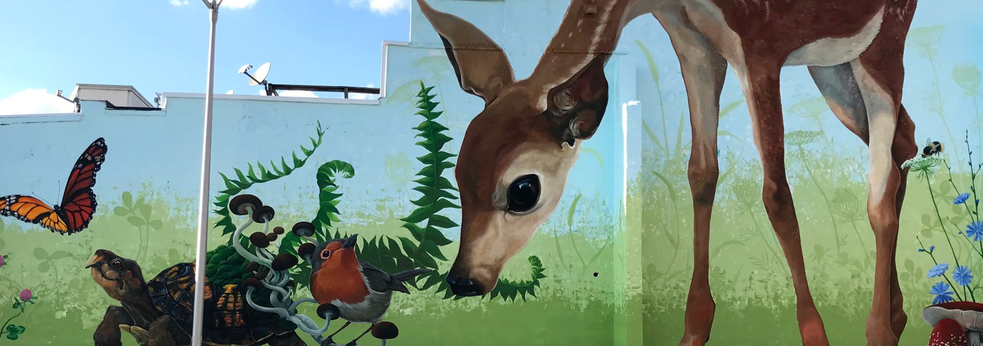 Our Murals | Sprocket Mural Works