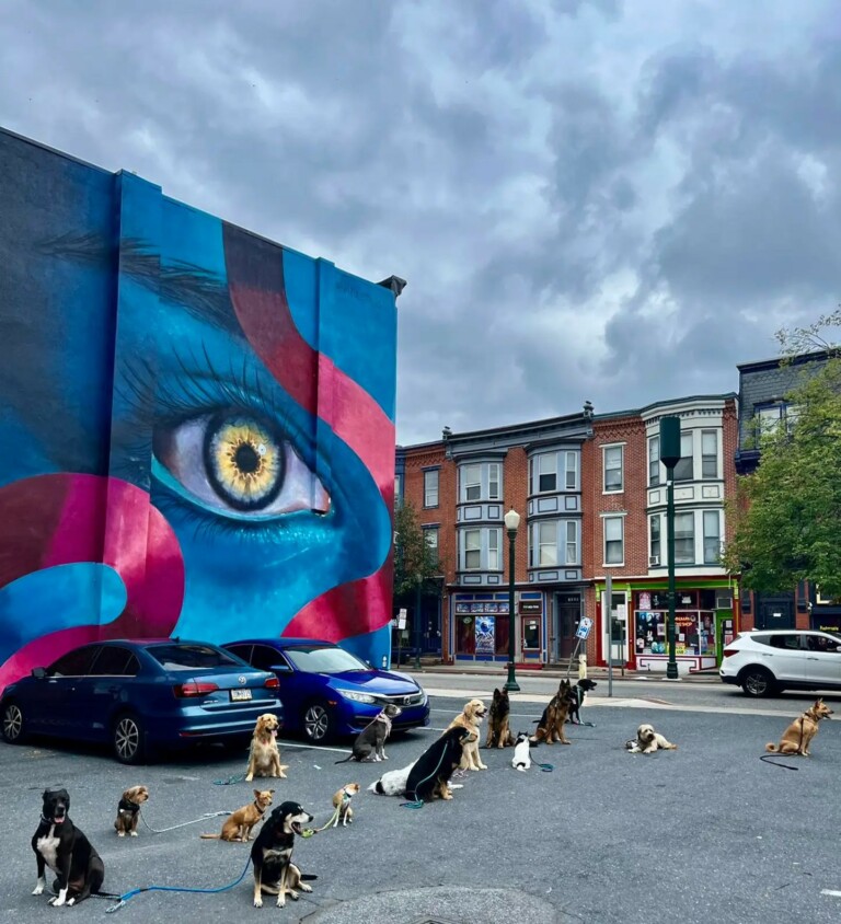 Picture Paw-fect: A local dog trainer uses our murals as a backdrop for ...
